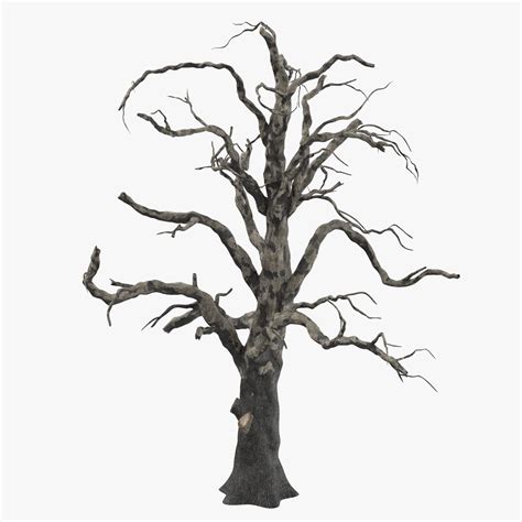 3 오래된 죽은 나무 3d 모델 99 Max Obj C4d Free3d