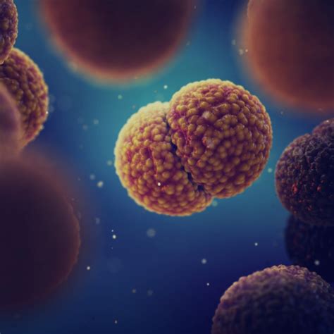 Meningitis Rcemlearning India