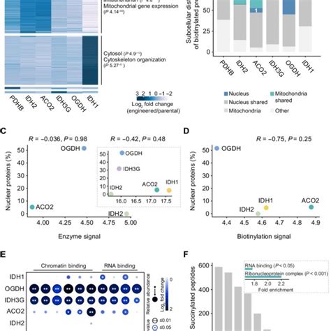 Proximity Biotinylation Ms Reveals Core Nuclear Proteins As Putative