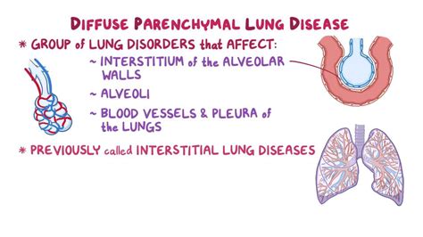 Lung Parenchyma