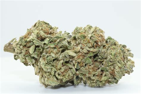 Georgia Pie Drganja
