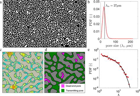 Characterization Of The Model Porous Structure Reveals Dual Feature Of Download Scientific