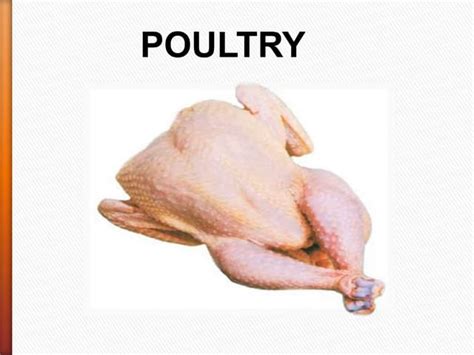 Classification Of Poultrypptx