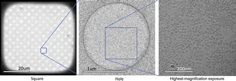 Iucr Learning To Automate Cryo Electron Microscopy Data Collection