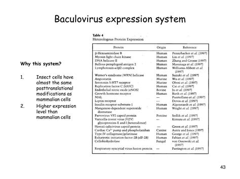 Ppt Gene Expression Systems In Prokaryotes And Eukaryotes Powerpoint Presentation Id 4753026