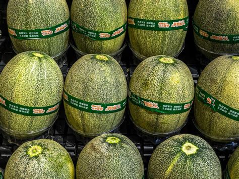 Hami Melon Stacked in the Market Place Editorial Stock Image - Image of ...