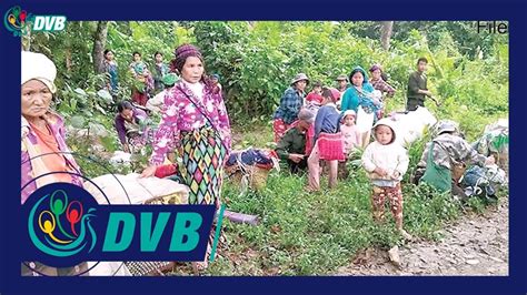 Dvb Digital မနက် ၇ နာရီ သတင်း ၁၁ ရက် ဇွန်လ ၂၀၂၃ Youtube