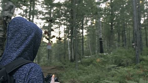 숲에서 경치를 촬영하는 여행자 한 백인 여성 촬영 좋은 마술 모습 소녀는 Dslr 미러리스 카메라에서 사진 비디오를 찍습니다 감사에 대한 스톡 사진 및 기타 이미지 Istock