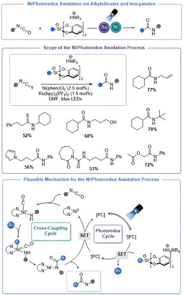 Organic Syntheses Procedure