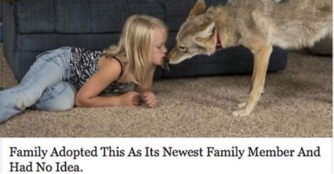 Are Clickbait Articles Even Trying Anymore Imgur