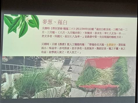 馬祖地質公園協會 113年度「官帽山解說員培訓課程」 Facebook