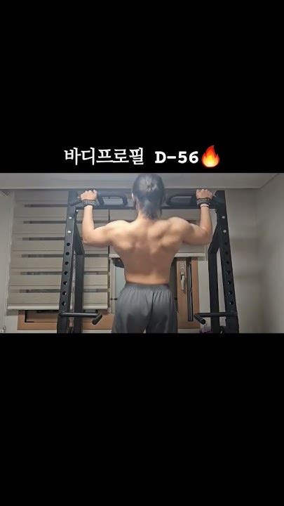 바디프로필준비 체지방 한자리 수를 위해서 Youtube