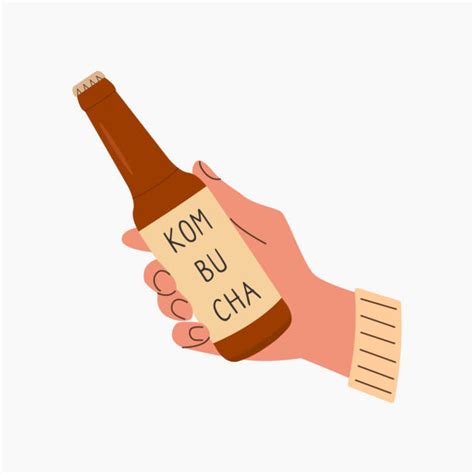 640개 이상의 Kombucha 스톡 일러스트 Royalty Free 벡터 그래픽 및 클립 아트 Istock