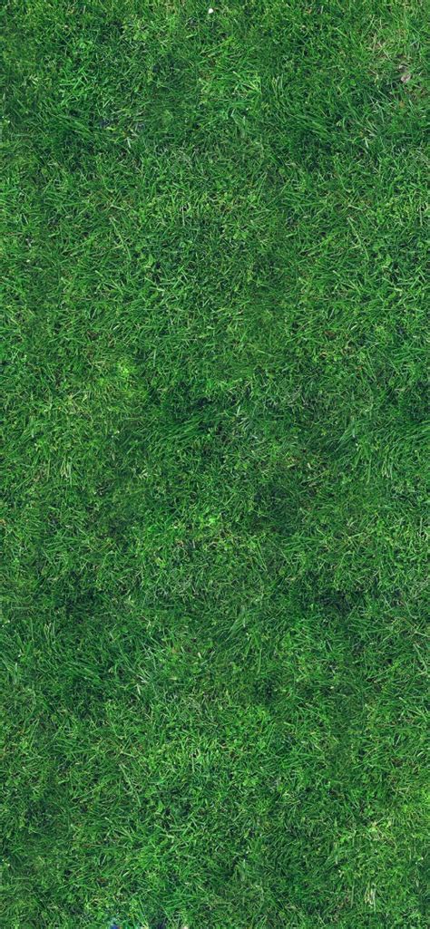 Wallpaper Grass Lawn Green Bright Green Grass Hd 1846928 Hd