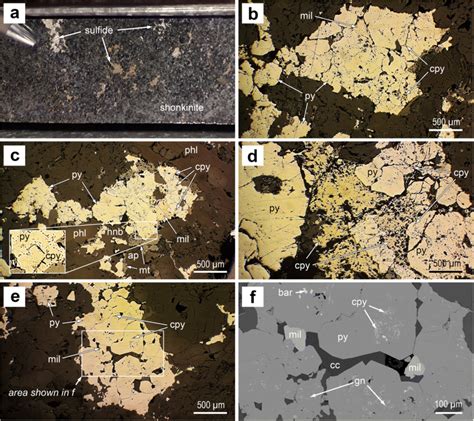 Sulfide Mineralogy A Blebby Sulfides In Shonkinite From Drillcore
