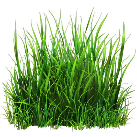 Grass Cartoon Pngs For Free Download