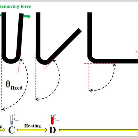 A Schematic Diagram Of The Shape Memory Performance Test Download Scientific Diagram