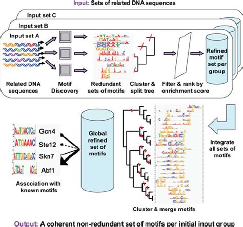 Overview Of The Motif Analysis Pipeline The First Step Of The Pipeline