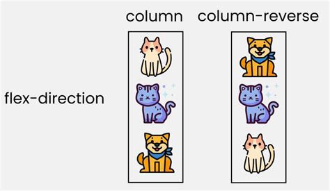 Css Flexbox Tutorial With Flexbox Properties Cheat Sheet 🎖️ Learn Web