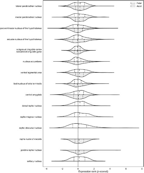 Violin Plots Showing The Distributions Of Gene Expression Ranks Of The