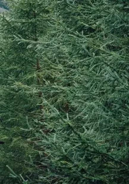 냉장고 냉동실이 얼음으로 가득 찼을 때 해결법 벨조라