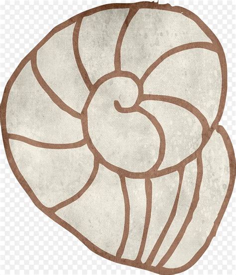 蜗壳png图片素材下载 图片编号qkelxagn 免抠素材网