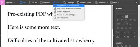 How To Insert A Hyperlink Into A PDF Then Into Showcase App