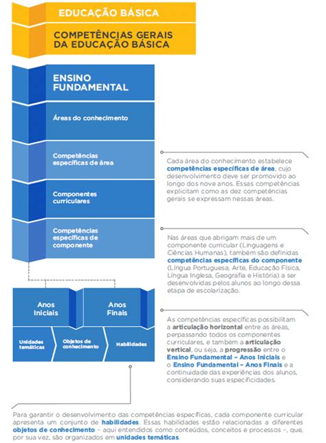 Base Nacional Comum Curricular Entenda 10 competências da BNCC
