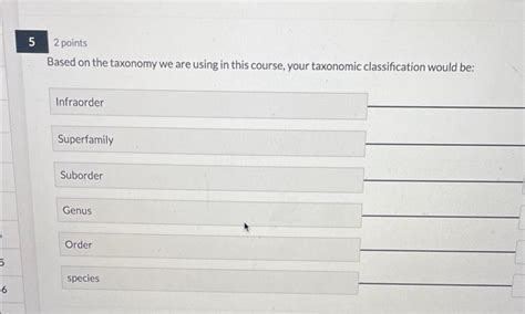 2 Points Based On The Taxonomy We Are Using In This
