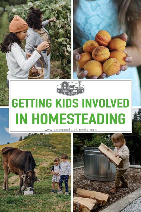 What Is Homesteading A Journey Back To Basics Artofit