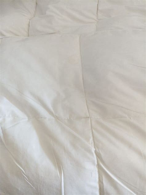 Queen Goose Down Feather Bed Mattress Topper Furniture And Home Living