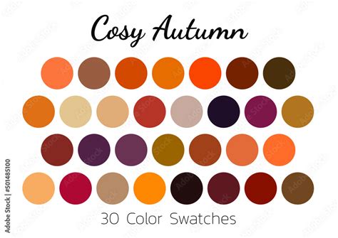 Collection Color Palette Swatch Color Palette Flat Vector