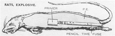 Back To The Drawing Board — Exploding Rats Military History Matters