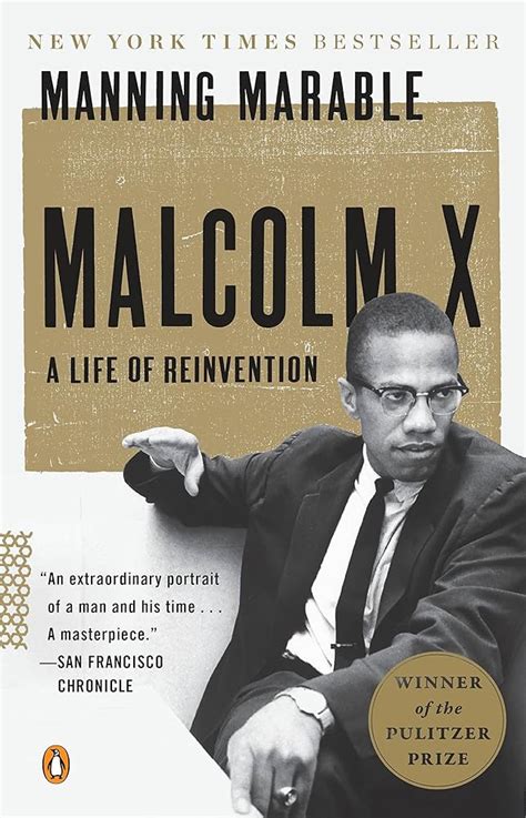 Malcolm X Adetokunbomaizy