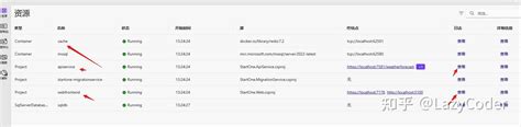 Net Aspire Redis 消息队列 组件 知乎