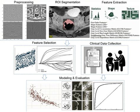 Image Preprocessing And Radiomic Analysis Workflow Features Derived