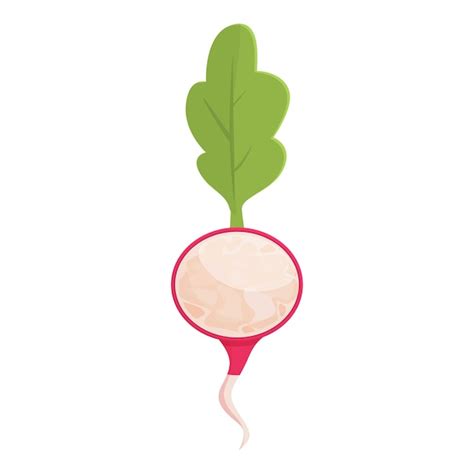 Premium Vector Radish Root Icon Cartoon Vector Food Salad Sliced