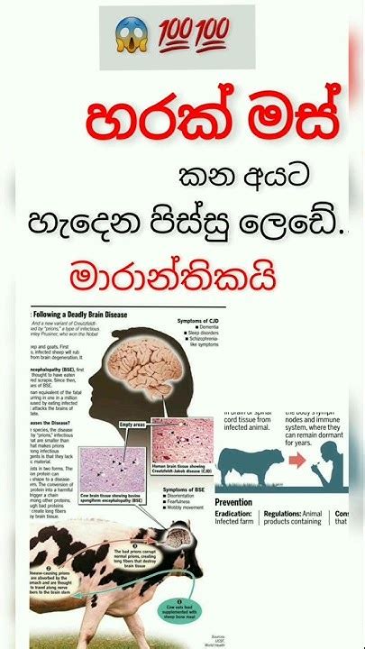 Agri Science Al සතුන්ගෙන් මිනිසාට 😱 Srilanka Agriculture Youtube