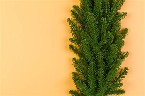 복사 공간 다채로운 배경에 전나무 나무로 만든 프레임의 상단보기 메리 크리스마스 컨셉 Diy에 대한 스톡 사진 및 기타 이미지