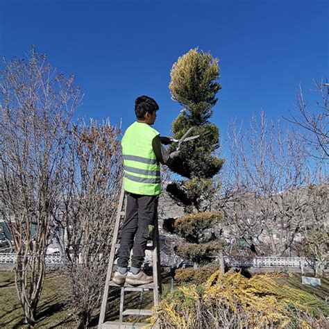 دمو 12 Saco Landscape ساکو لنداسکیپ طراحی فضای سبز اجرای روف گاردن