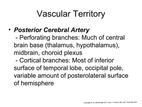 Intracranial Arteries Ppt