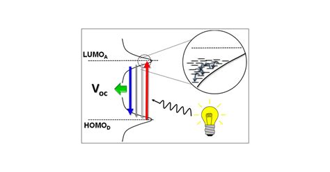 Equilibrated Charge Carrier Populations Govern Steady State Nongeminate Recombination In