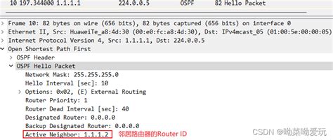 Ospf 5种报文、状态机、邻居建立的过程ospf协议五种报文抓包怎么发送的 Csdn博客