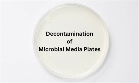 What Is The Difference Between The Microbial Limit Test And The
