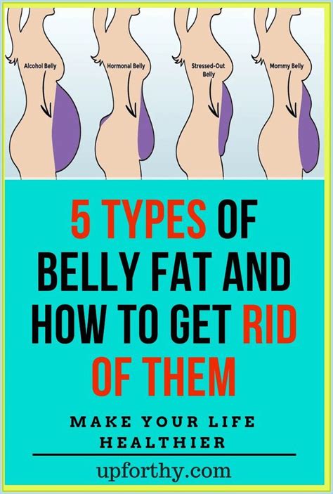 5 Types Of Tummies And Ways To Get Rid Of Each Of Them Artofit
