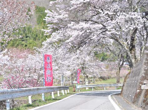 観光スポット ｜最新の郡上明宝のおすすめ観光情報｜飛騨美濃せせらぎ街道｜岐阜県郡上市明宝