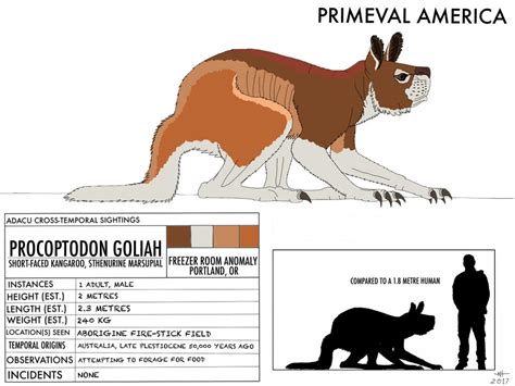 Pa Procoptodon By Hublerdon On Deviantart