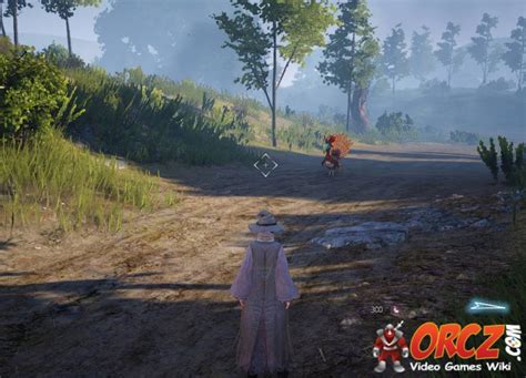 Black Desert Online Threatening And Frantic Kuku Bird Orcz The Video Games Wiki