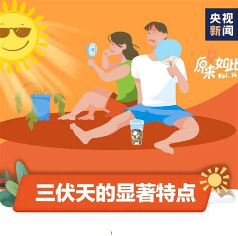 注意三伏天来了一图了解 高温 武汉 禁忌