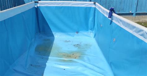 Coleman Rectangular 16ft X 8ft X 48 Inch Above Ground Pool Karrot